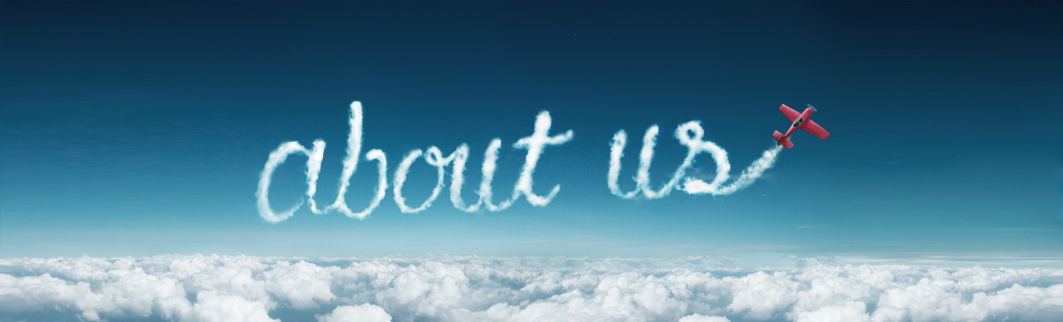 About Us: Who We Are and What We Do | Ibex Systems